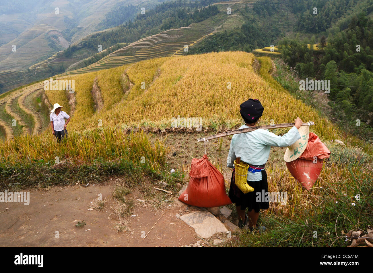 Red Yao woman near farmland with carrying pole, Huangluo Yao Village ...