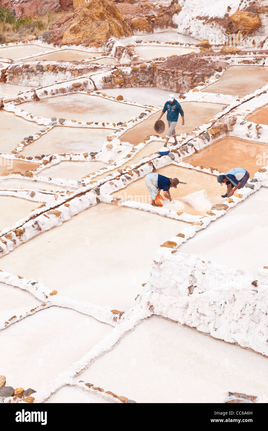Inca workers harvesting salt at Salinas De Maras terraced salt ponds ...