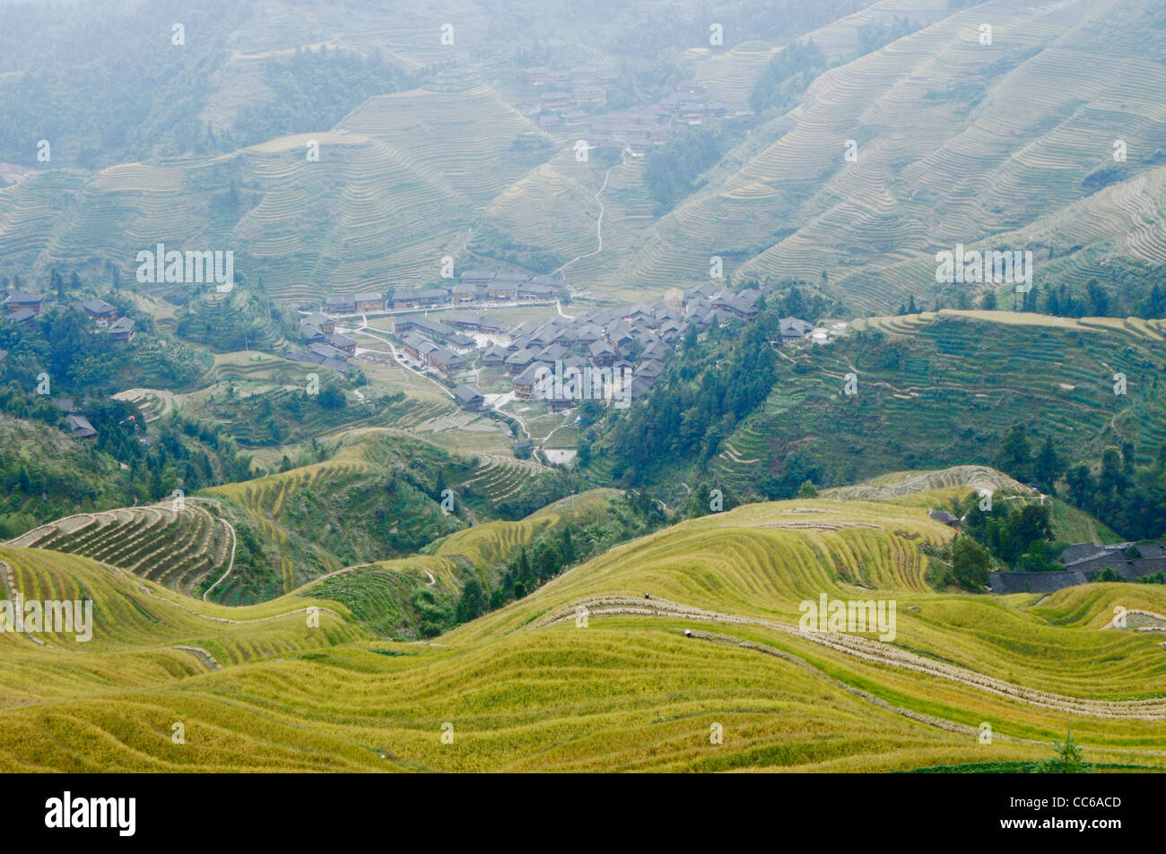 Jinkeng Rice Terraces, Guilin, Guangxi , China Stock Photo - Alamy