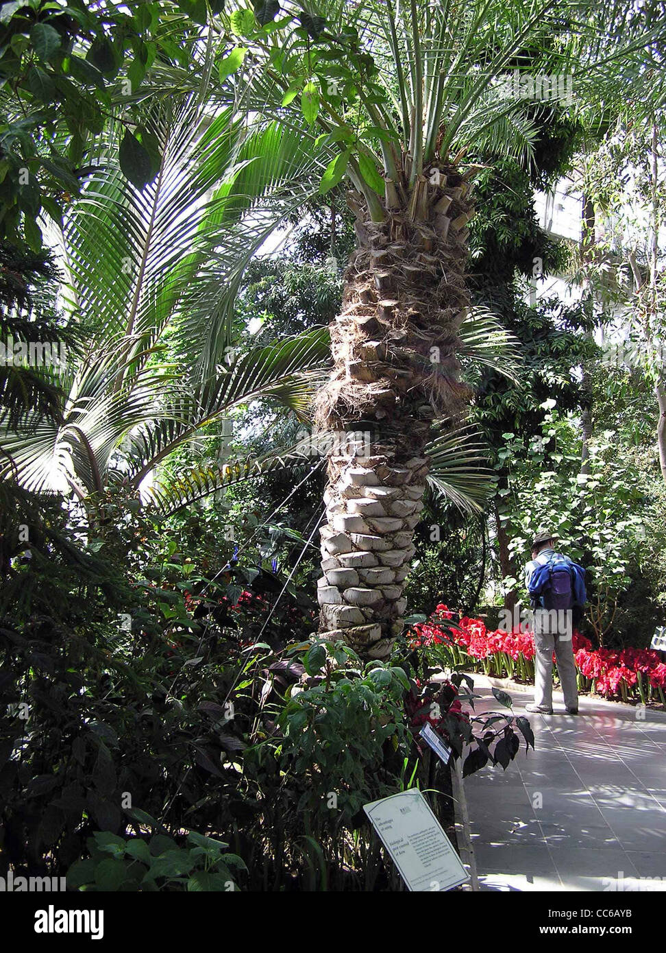 The gardens date hi-res stock photography and images - Alamy