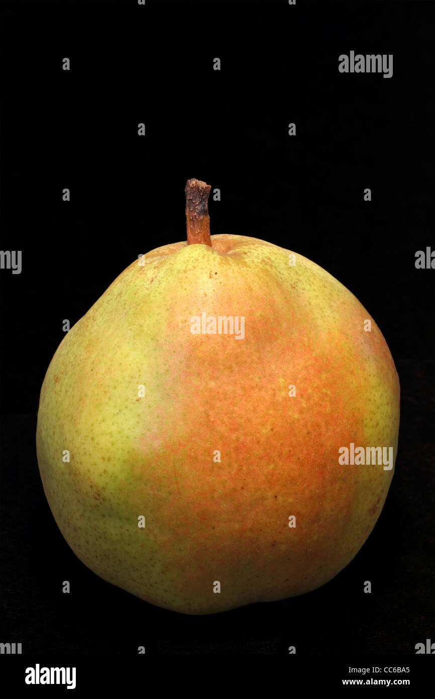 Comice pear hi-res stock photography and images - Alamy