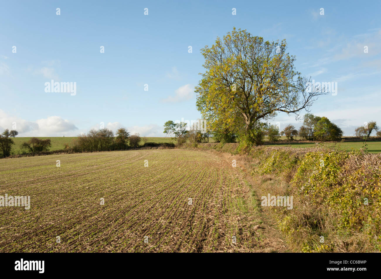 Rustic landscape in Stratford-on-Avon, Warwickshire, England, UK Stock ...