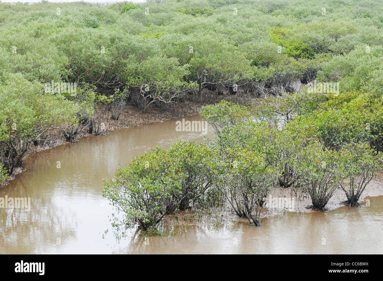 Beilun Estuary National Nature Reserve, Fangchenggang, Guangxi , China ...