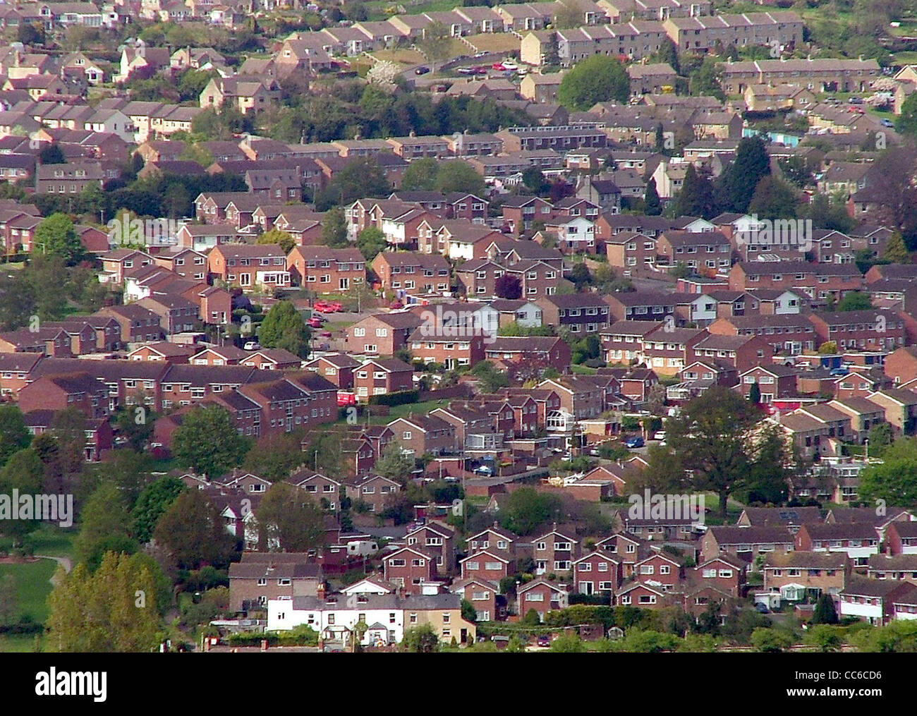 Cashes green hi-res stock photography and images - Alamy
