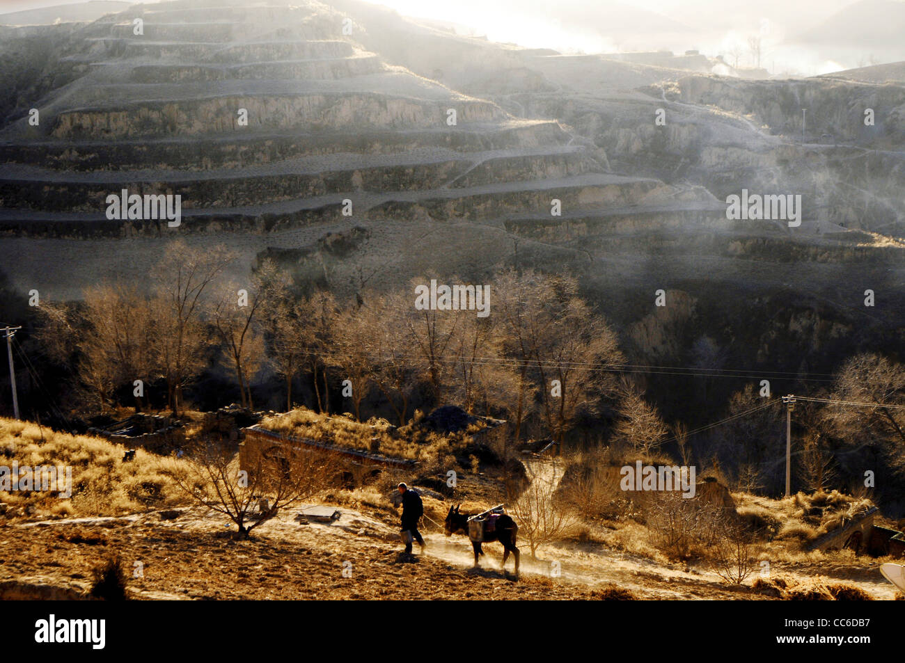 Man walking with a donkey, Yulin, Shaanxi Pronvince, China Stock Photo ...