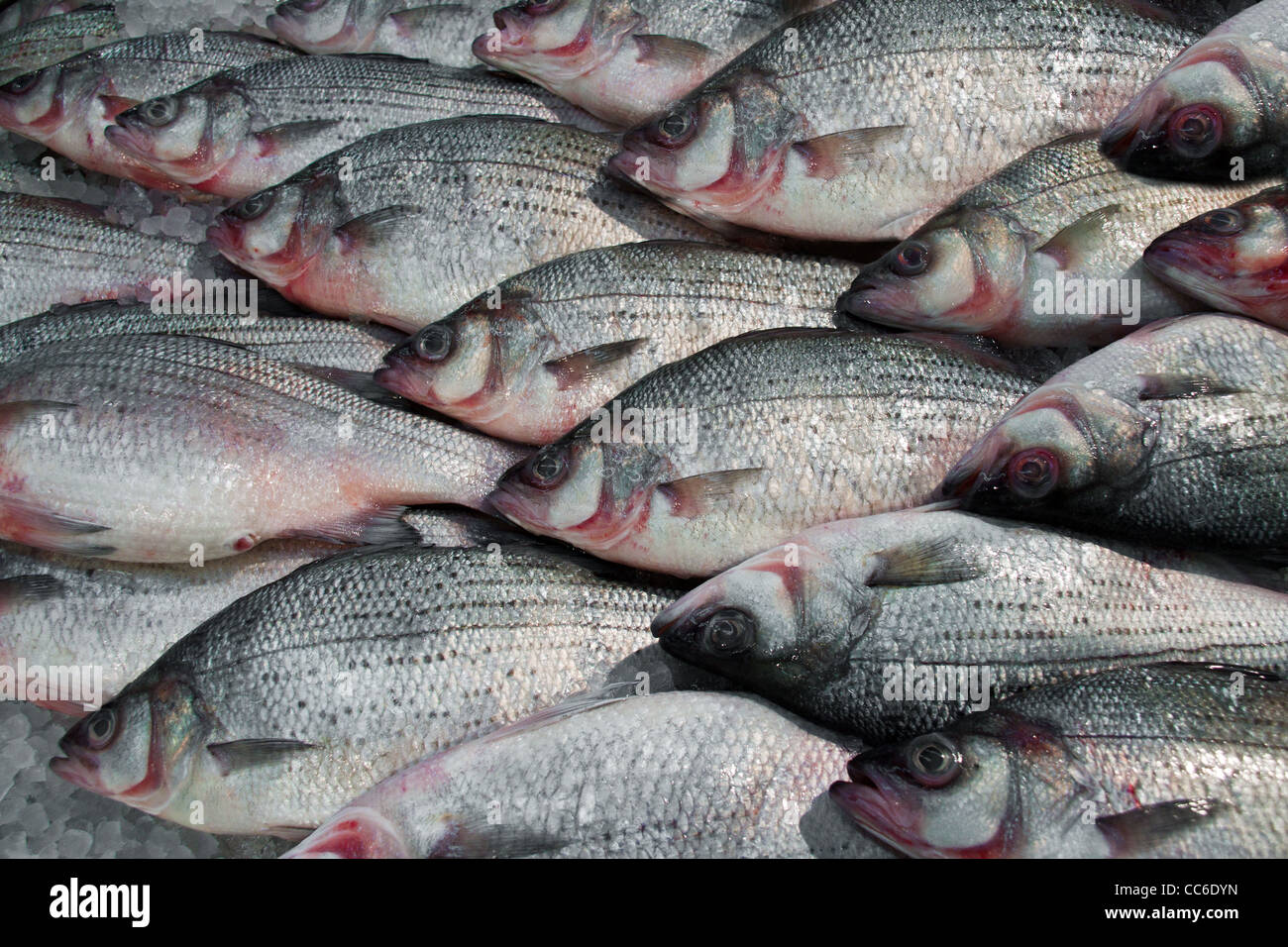 Fresh fish display hi-res stock photography and images - Alamy