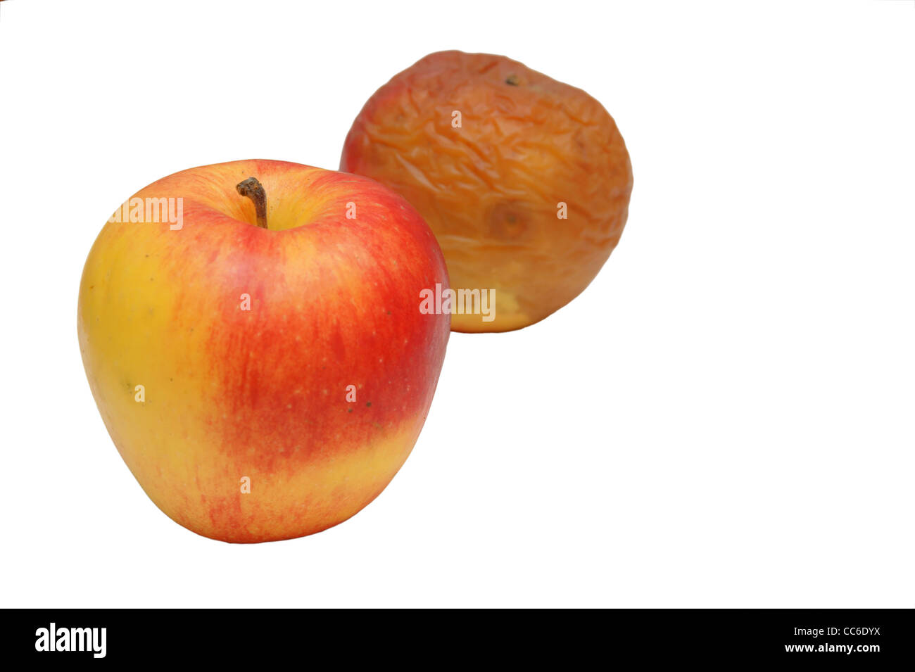 Fresh red apple and rotten apple, isolated on white background Stock ...