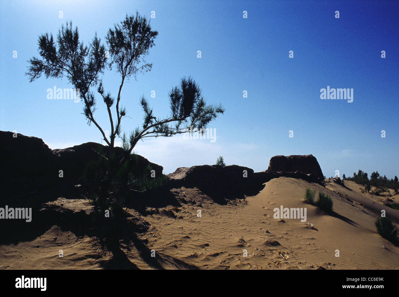 Ruins of Ming Great Wall, Wuwei, Gansu , China Stock Photo - Alamy