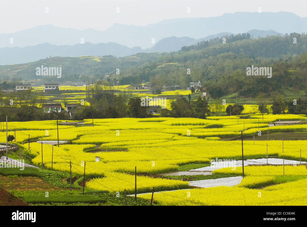Pingle Ancient Town, Chengdu, Sichuan , China Stock Photo - Alamy