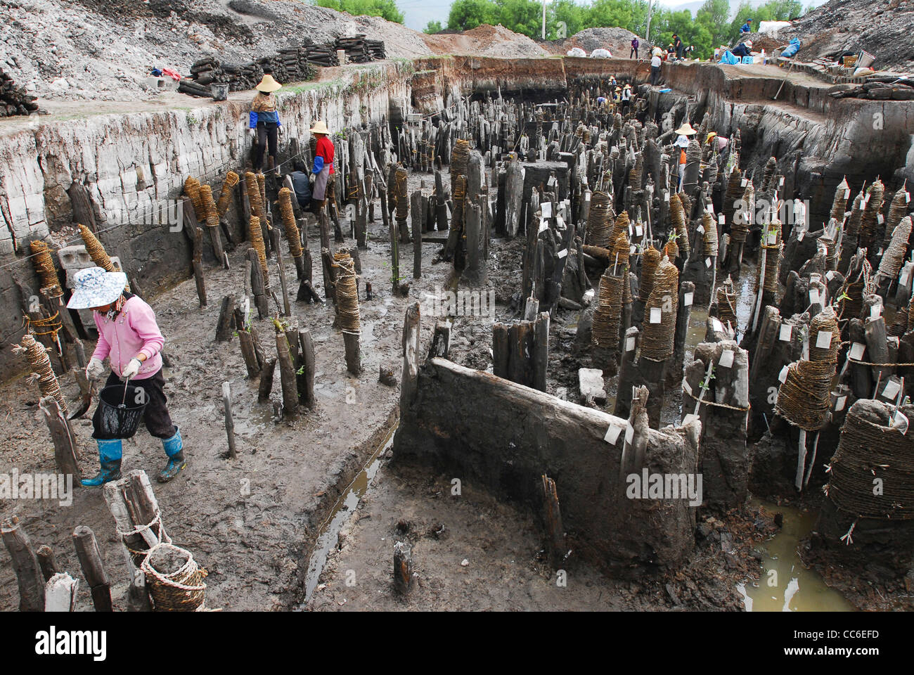 People breeding edible mushroom, Shaxi Ancient Town, Dali, Yunnan ...
