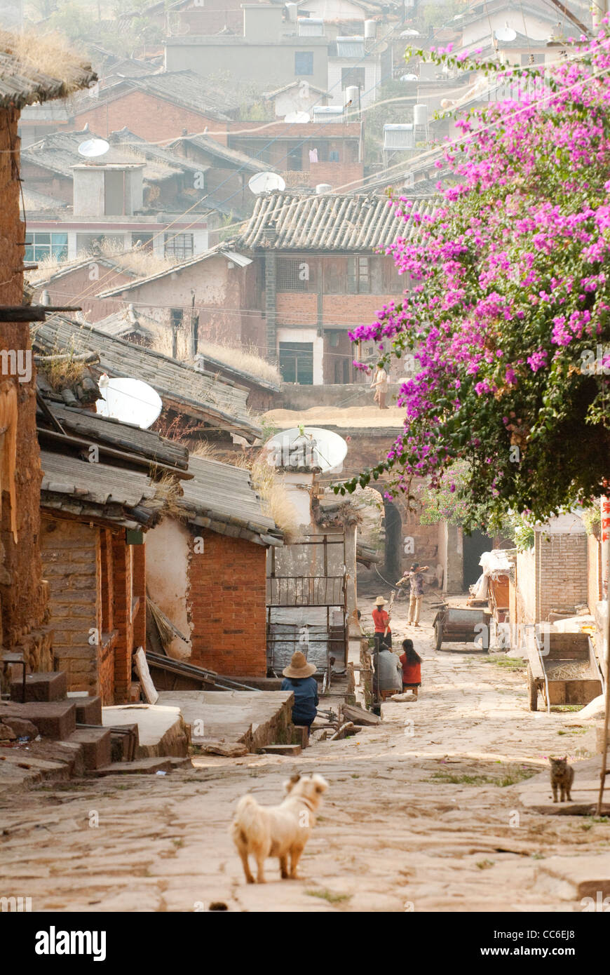 Ancient town in Lufeng, Chuxiong, Yunnan , China Stock Photo - Alamy