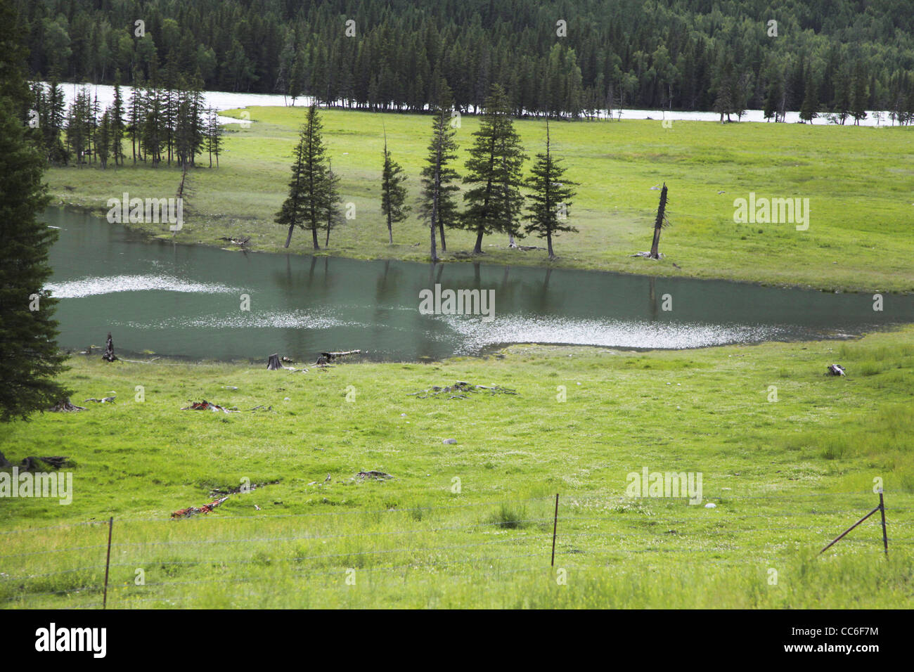Altay china hi-res stock photography and images - Alamy