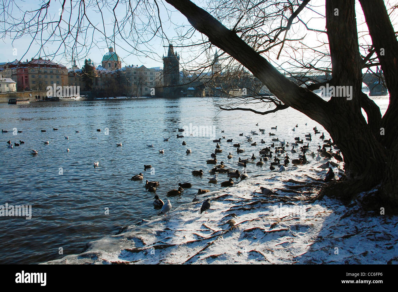 Frozen vltava river hi-res stock photography and images - Alamy