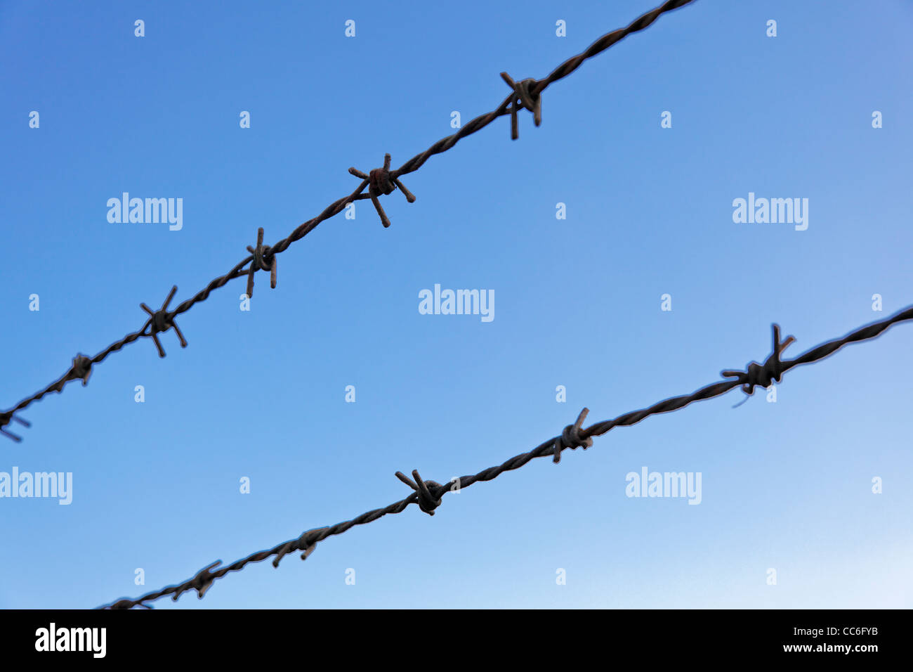 landscape of angled rusty barbed wire against graduated clear blue sky ...