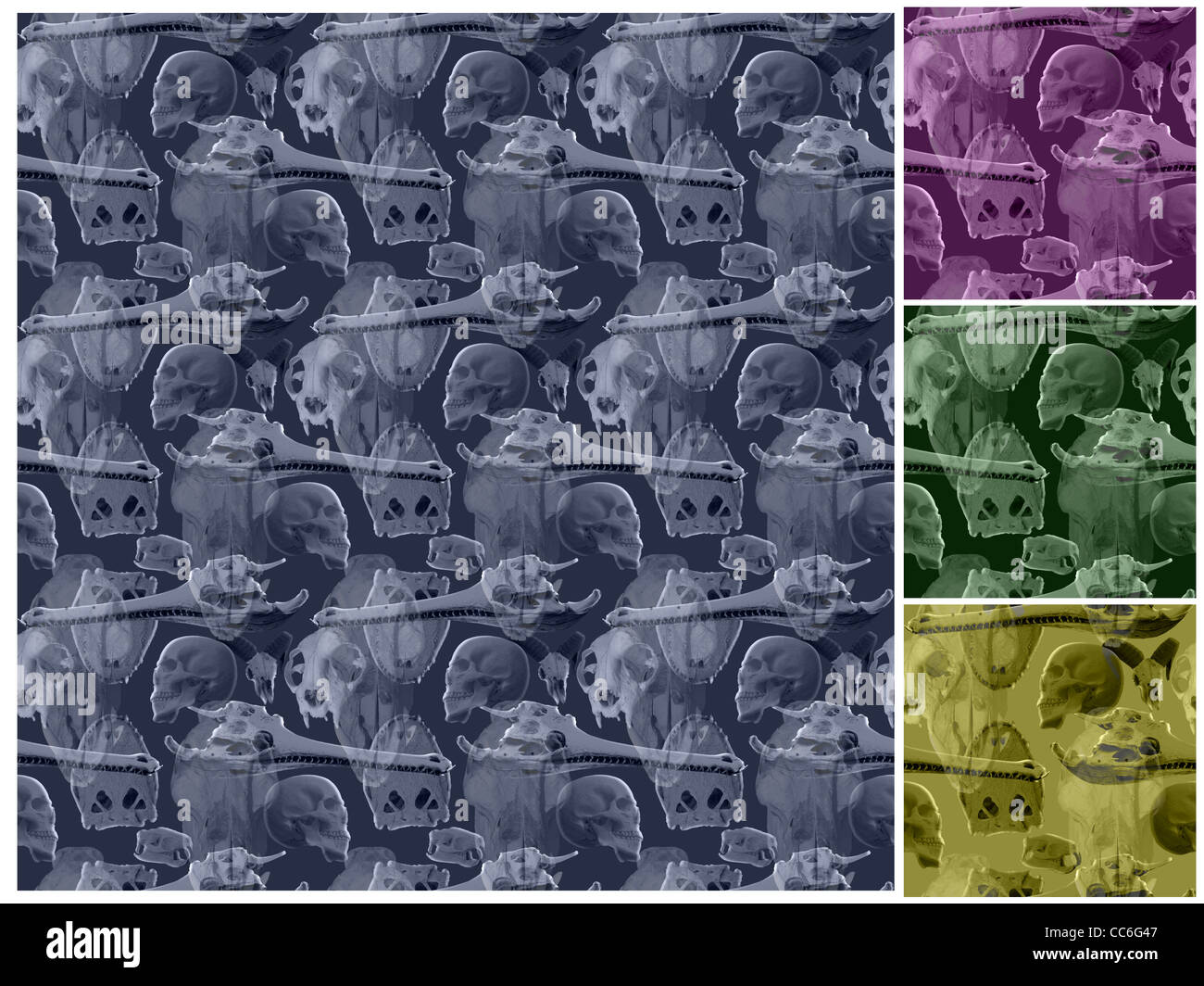 Skull pattern head hi-res stock photography and images - Alamy