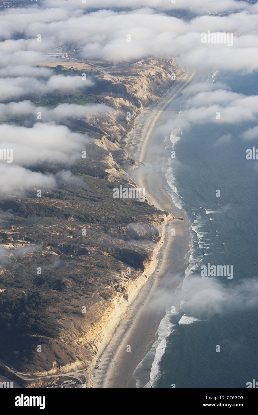 Torrey Pines High Resolution Stock Photography and Images - Alamy