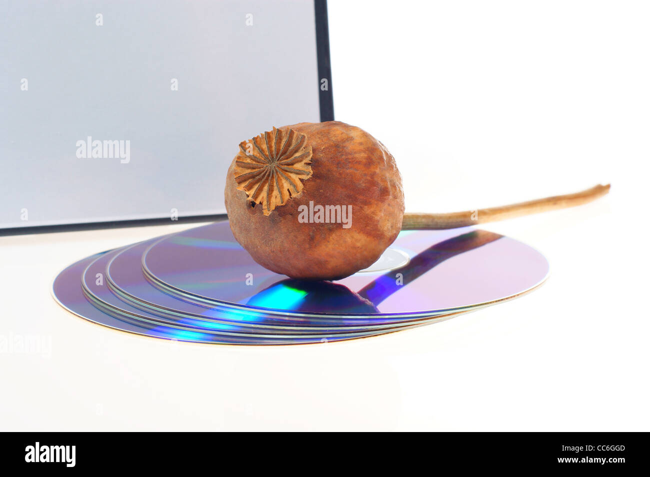 disc and poppy - addiction computers CD DVD Stock Photo - Alamy