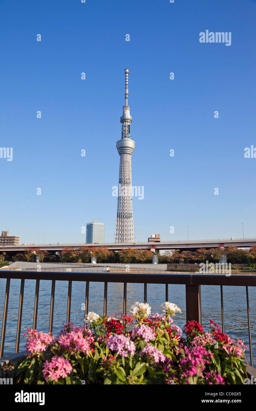 Japan, Tokyo, Asakusa, Sky Tree Tower and Sumida River, Architect ...