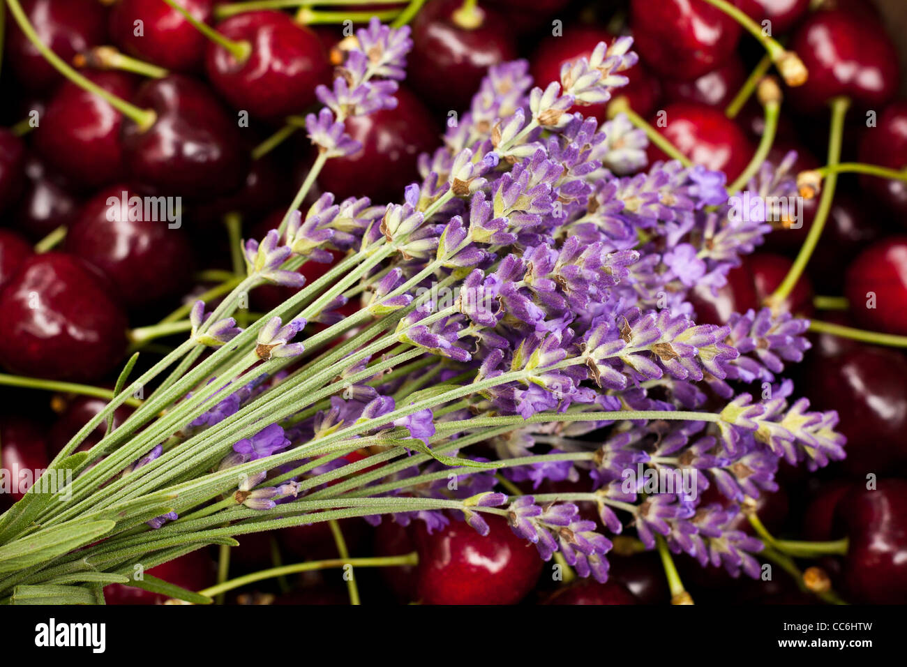 Bunch of cherry hi-res stock photography and images - Alamy
