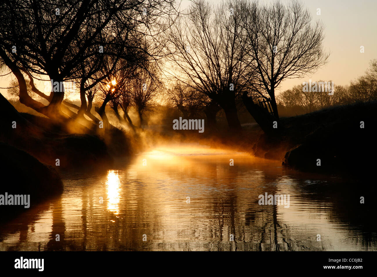 Mist rising off the Beverley Brook at sunrise, Richmond Park, London ...