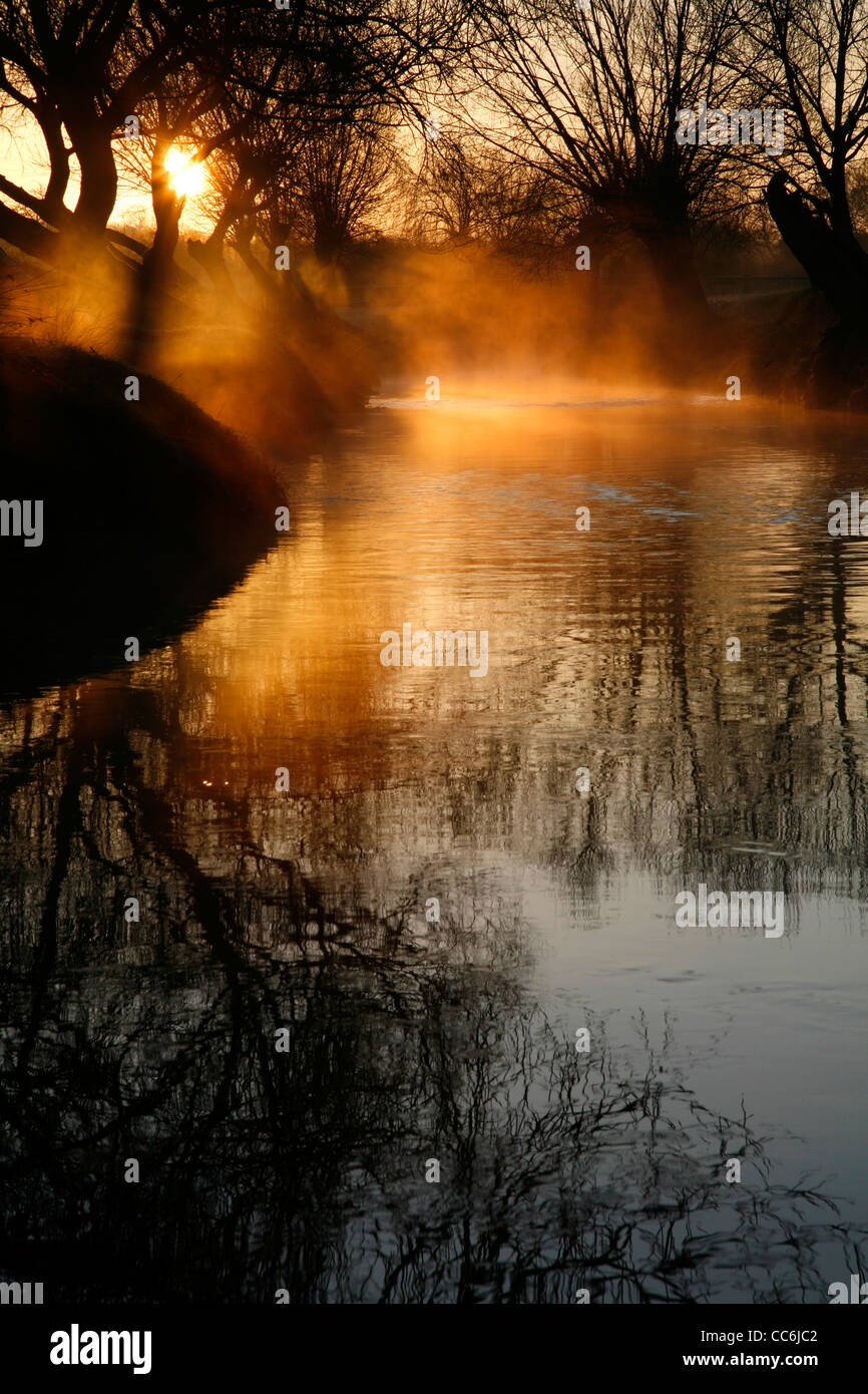 Mist rising off the Beverley Brook at sunrise, Richmond Park, London ...