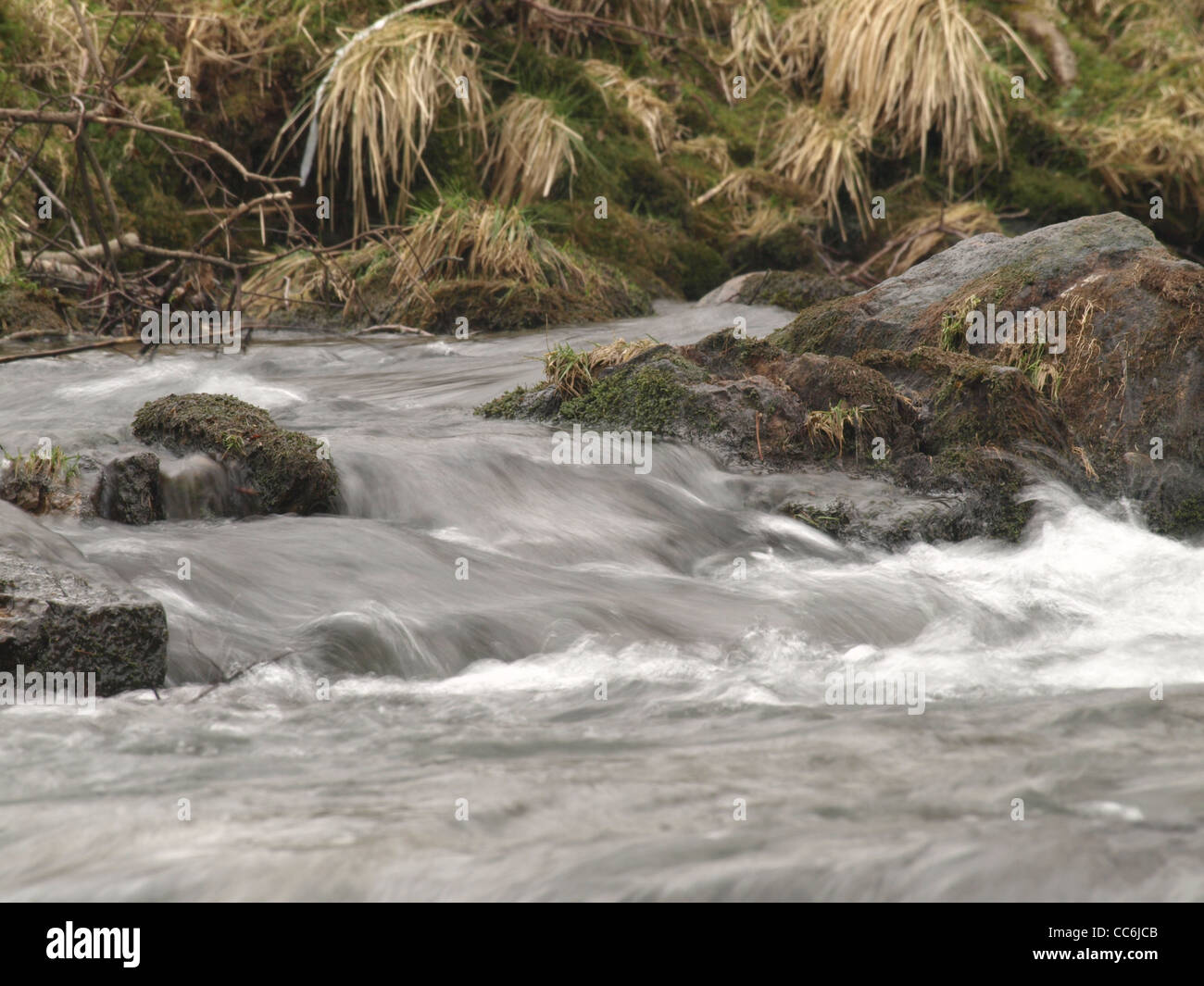 river "White Rain" Bavarian Forest Germany / Fluss "Weisser Regen ...