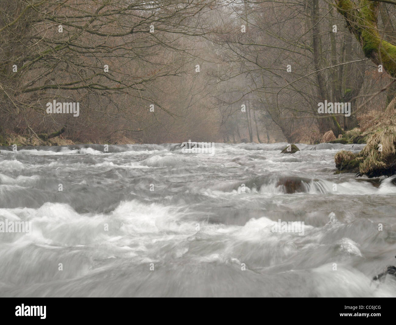 river "White Rain" Bavarian Forest Germany / Fluss "Weisser Regen ...