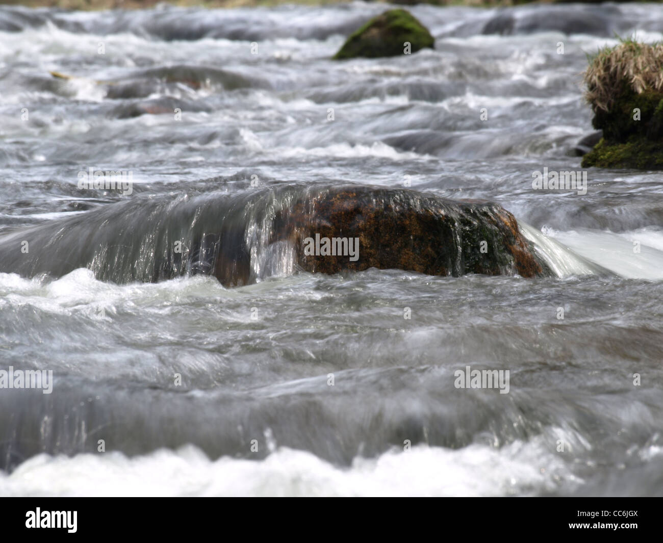 river "White Rain" Bavarian Forest Germany / Fluss "Weisser Regen ...