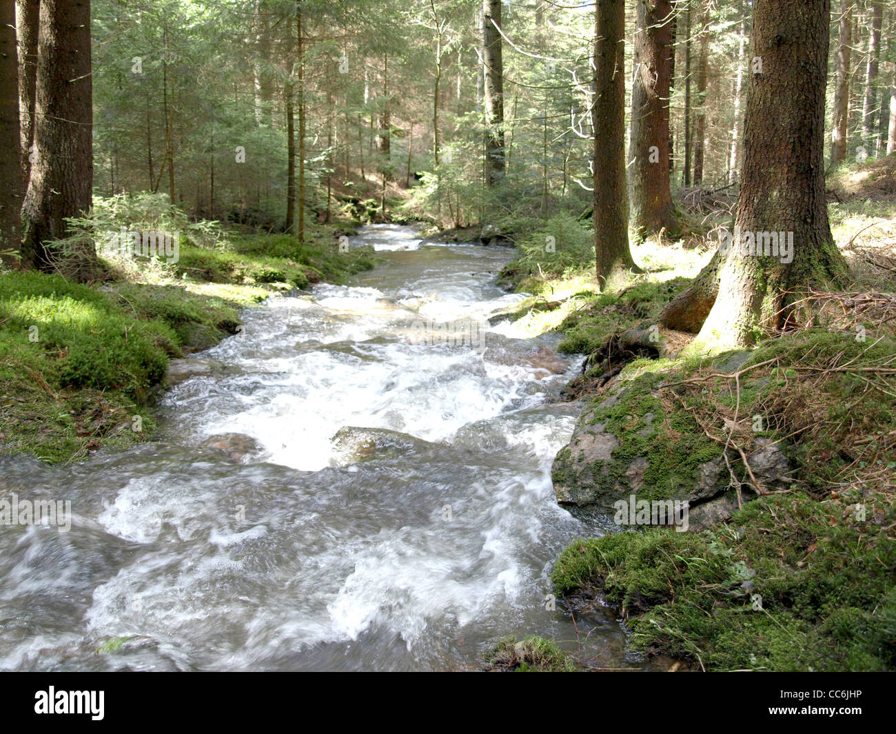 Woodstream hi-res stock photography and images - Alamy