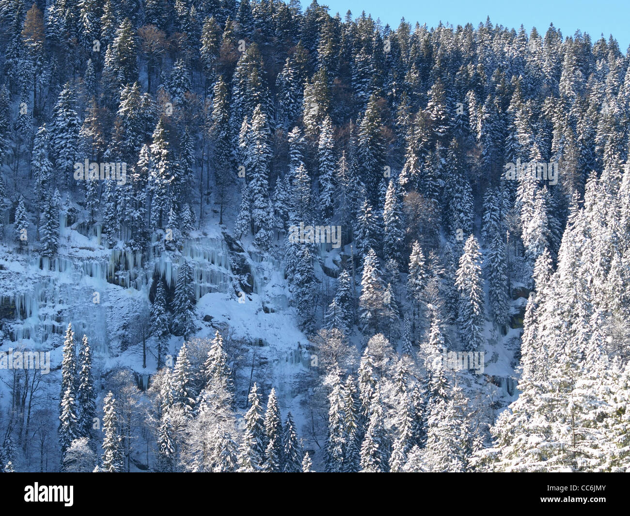 frosted rock wall in a wood / vereiste Felswand im Wald Stock Photo - Alamy
