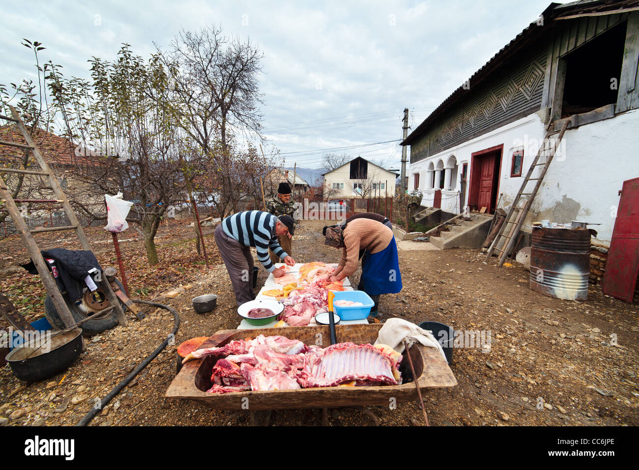 Romanian rural people preparing pig meat outdoor in the courtyard Stock ...