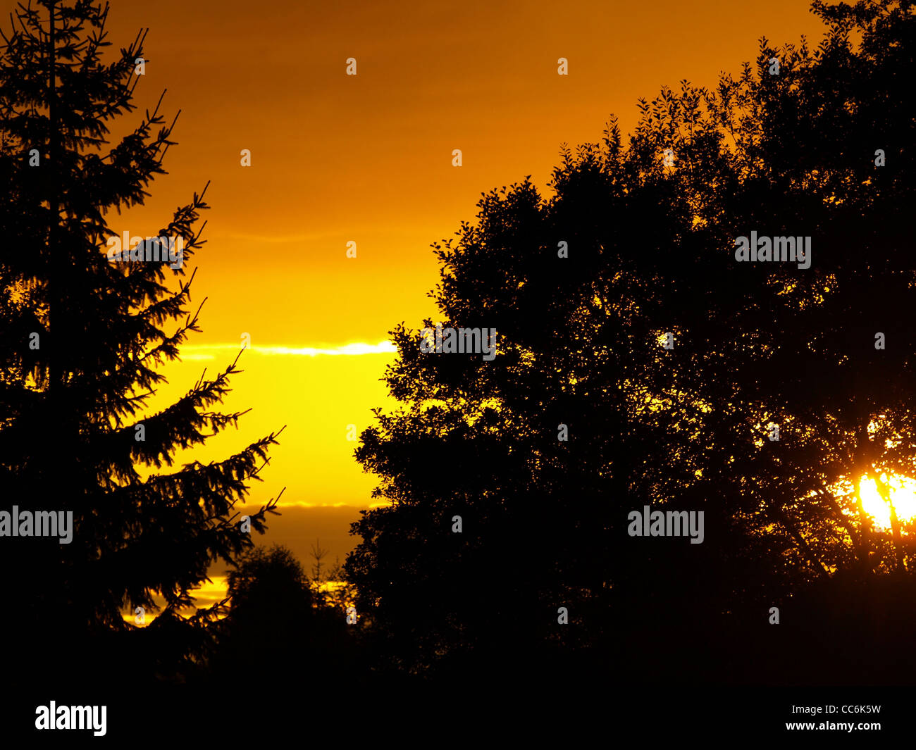 sunset behind trees / Sonnenuntergang hinter Bäumen Stock Photo - Alamy