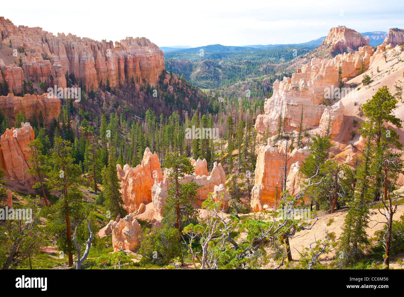 Valley in Bryce Canyon Stock Photo - Alamy
