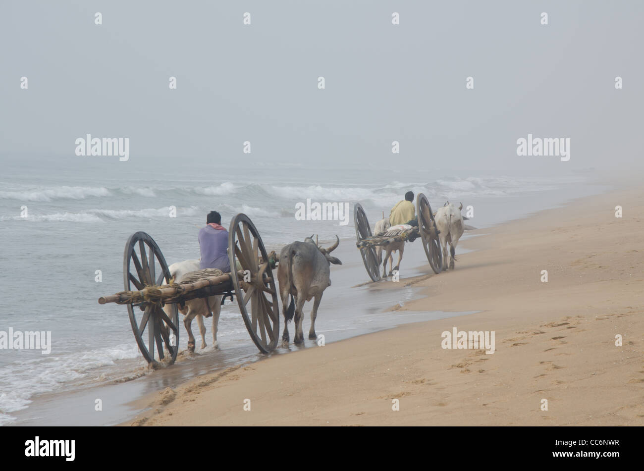 Puri sea beach hi-res stock photography and images - Alamy