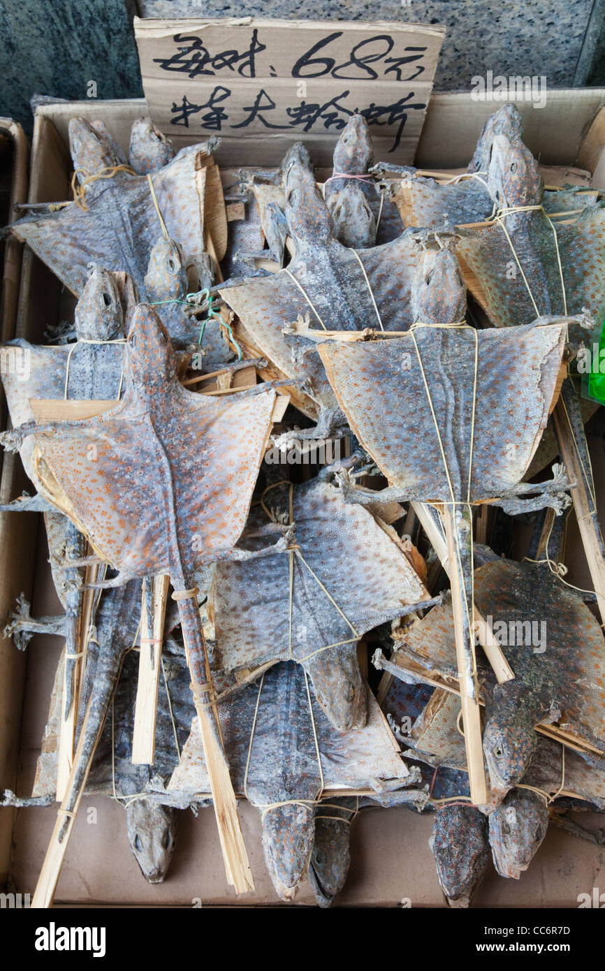 China, Hong Kong, Sheung Wan, Dried Lizards Stock Photo - Alamy