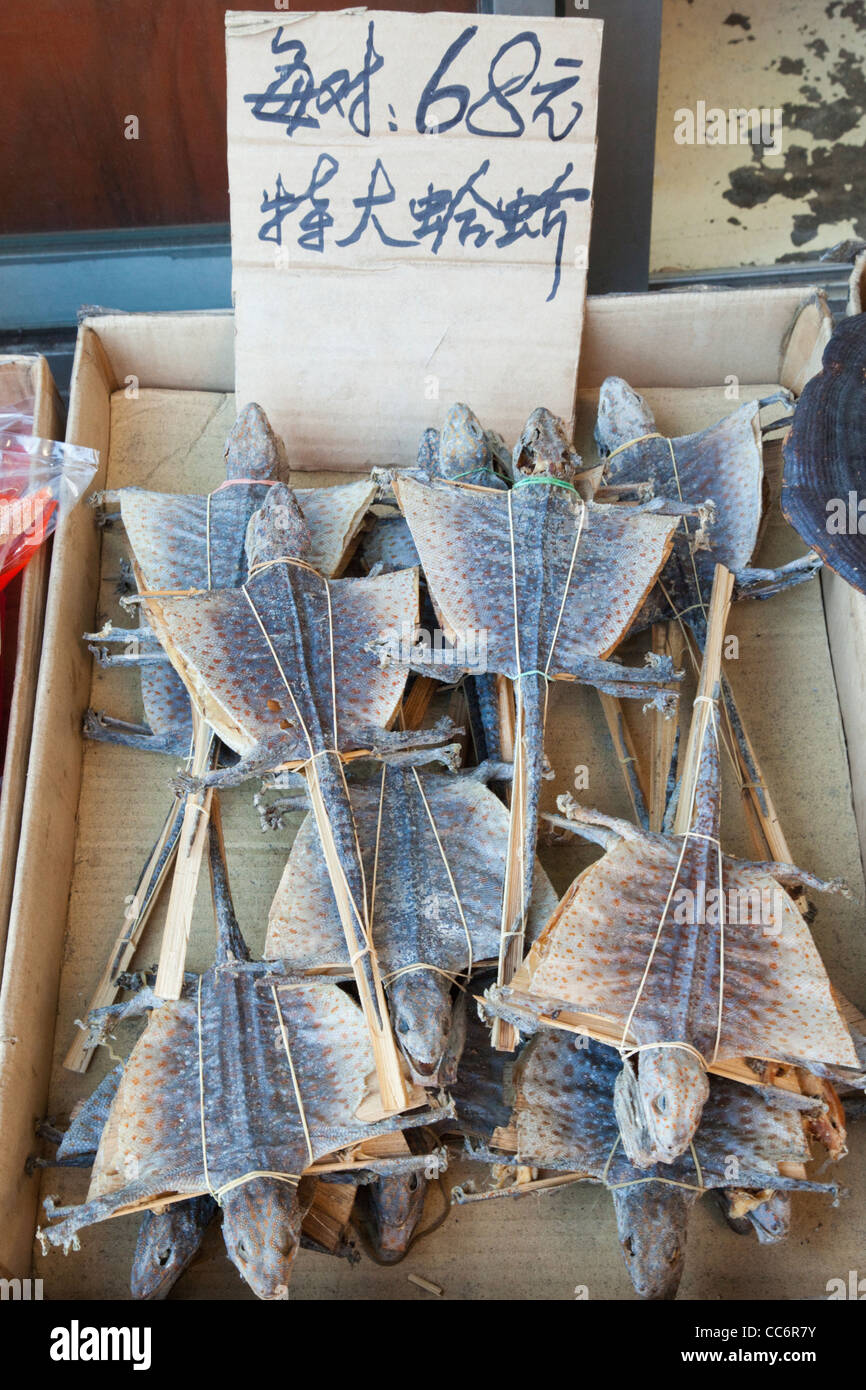 China, Hong Kong, Sheung Wan, Dried Lizards Stock Photo - Alamy