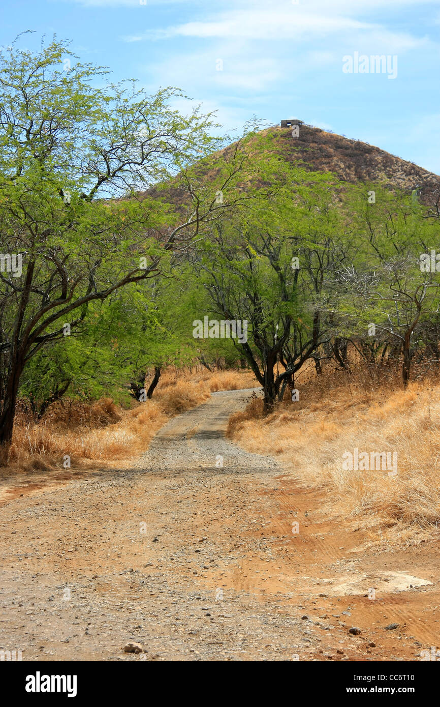 Hiking path towards the Diamond Head Crater Stock Photo - Alamy