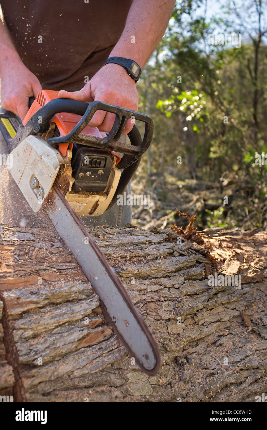 Man cutting tree log with chainsaw Stock Photo - Alamy