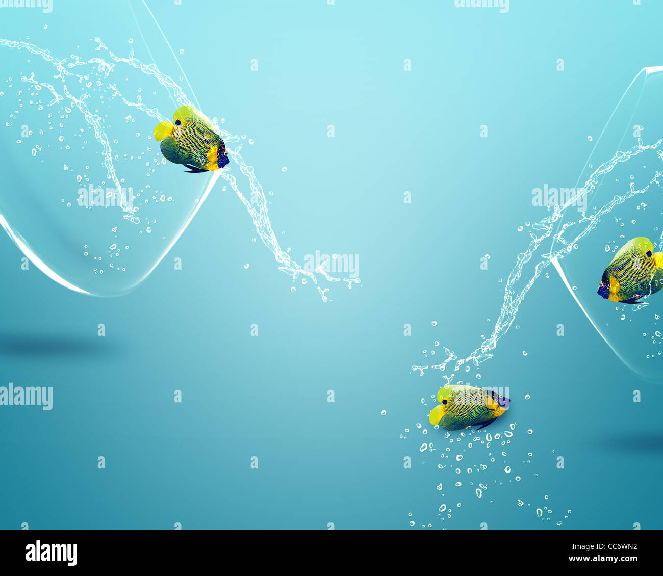 Two angelfish jumping out of fishbowl to new one, one failed one win ...