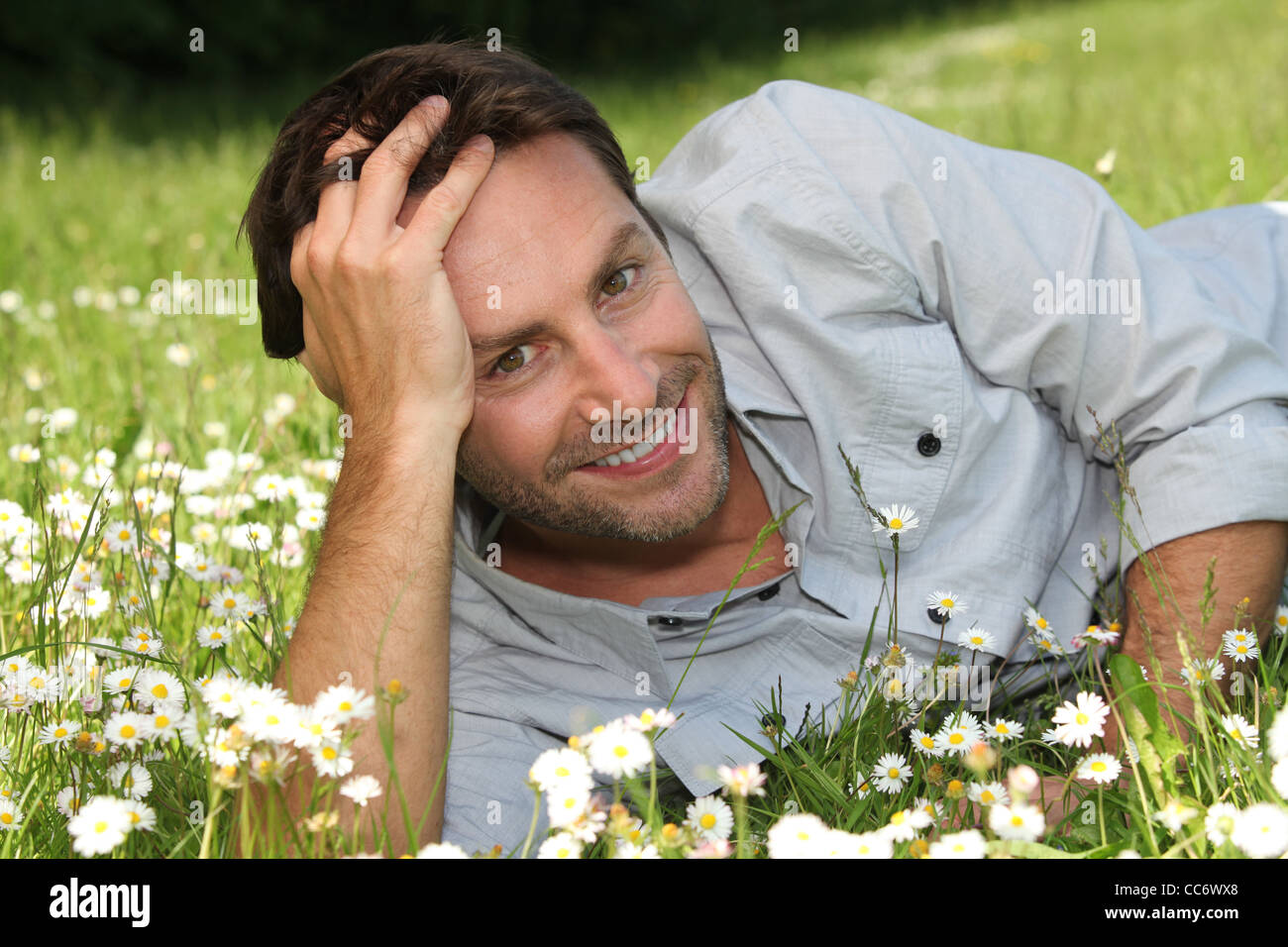 Bearded man daisy flowers hi-res stock photography and images - Alamy