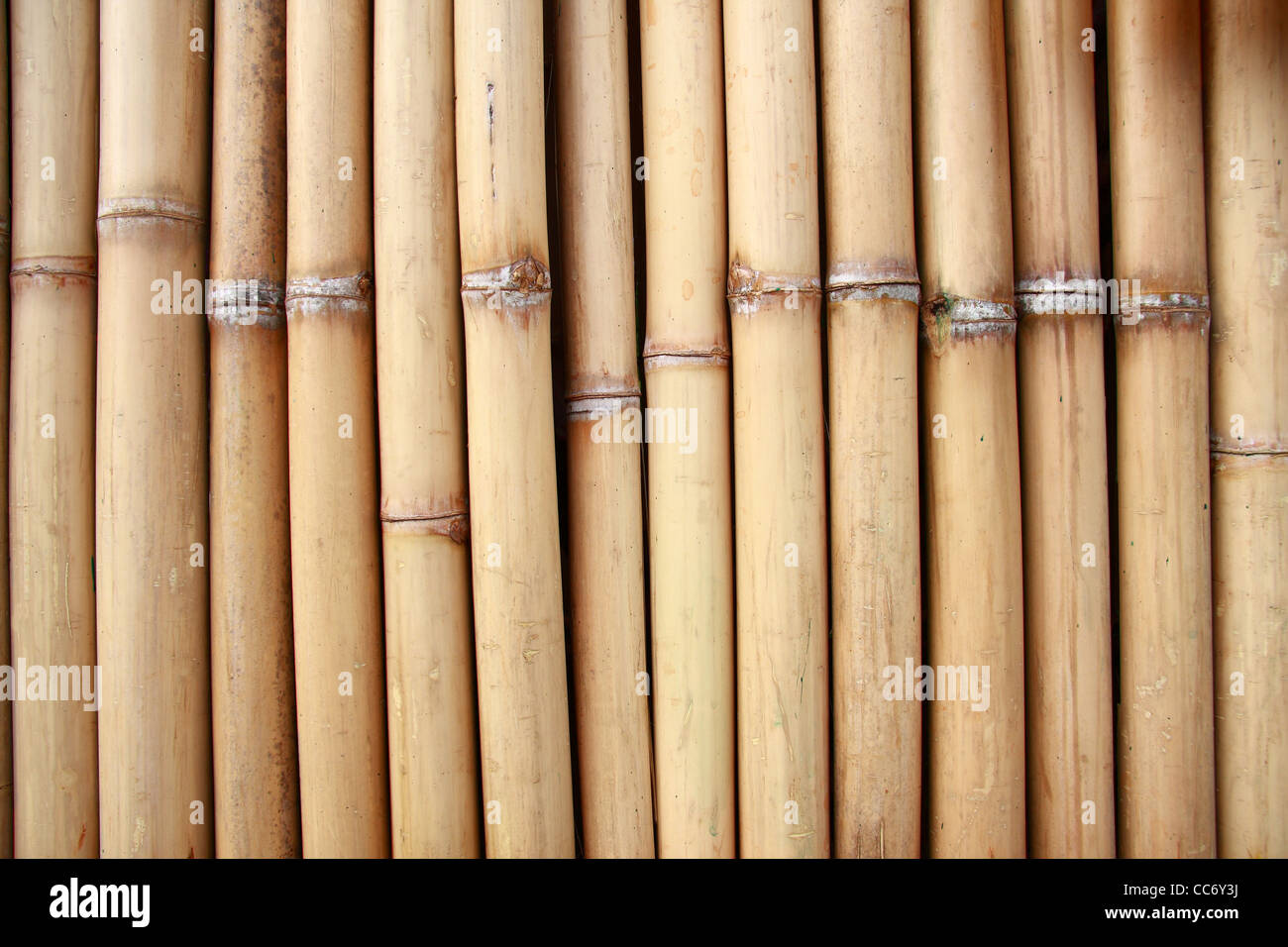 Bamboo tree brown hi-res stock photography and images - Alamy