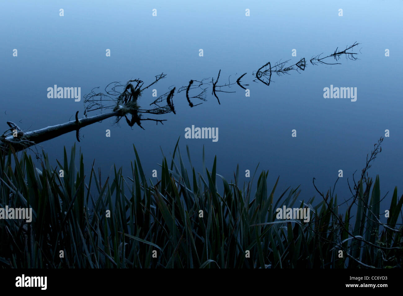 Mattheson hi-res stock photography and images - Alamy