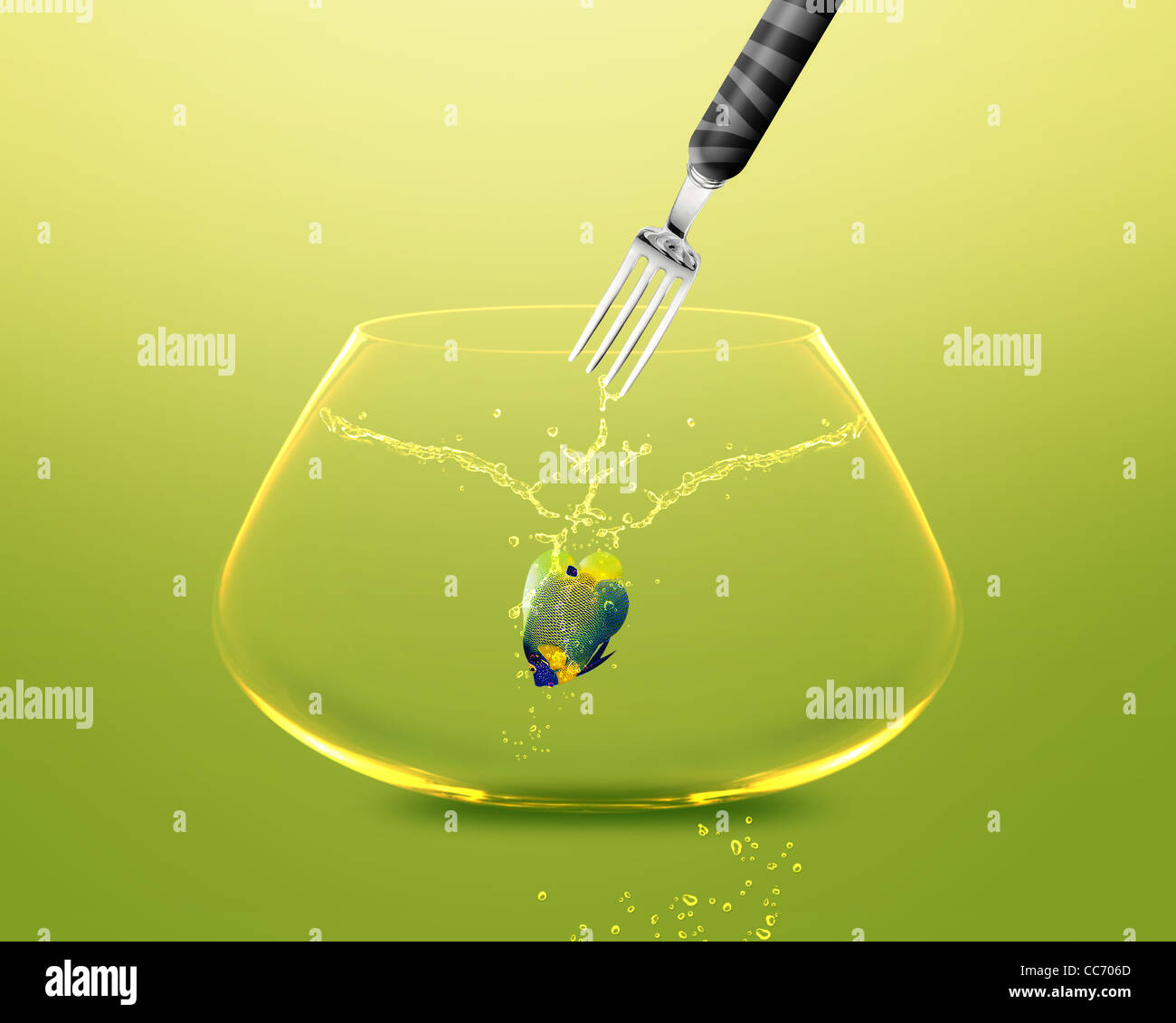 Fork catch angelfish in fishbowl , angelfish jumping and diving in ...