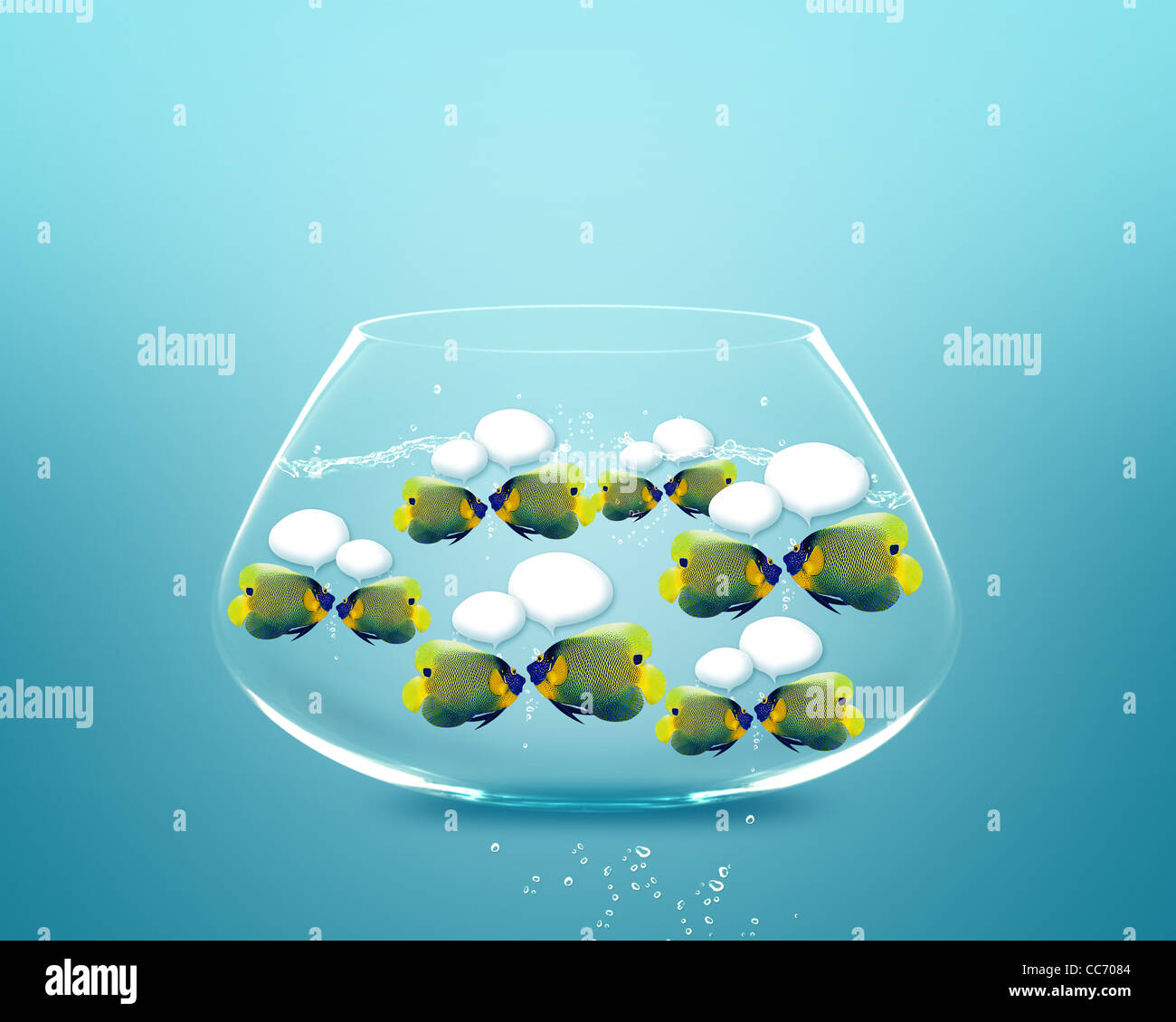 Happy angel fish hi-res stock photography and images - Alamy