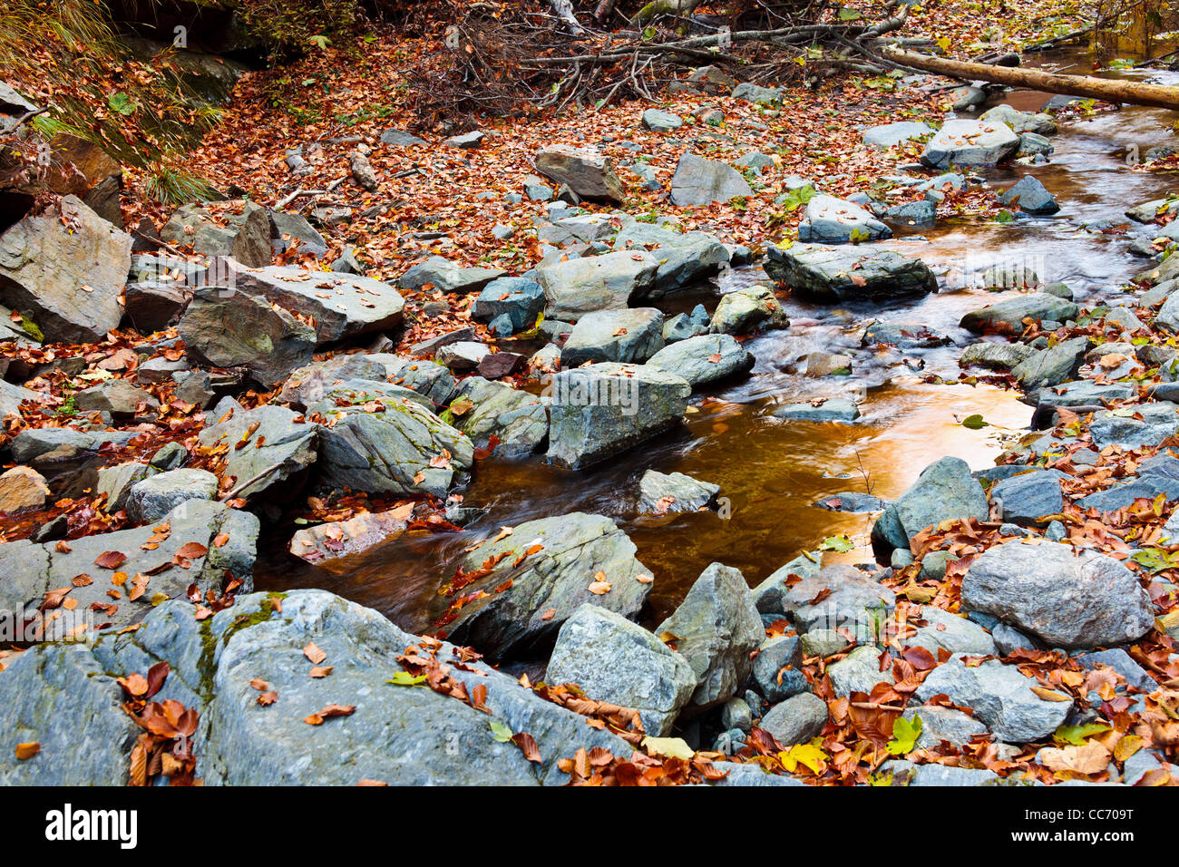 Landscape with creek flowing among rocks with fallen leaves Stock Photo ...