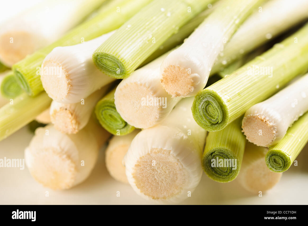 Closeup of freshly cut leek isolated on white background Stock Photo ...
