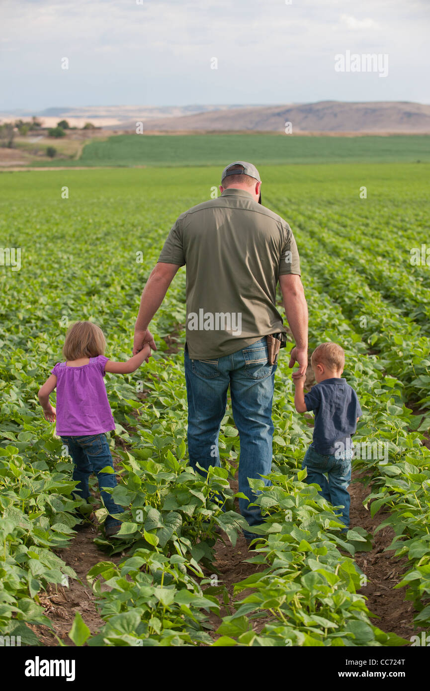A farmer walking in his field of soybeans with his family Stock Photo ...