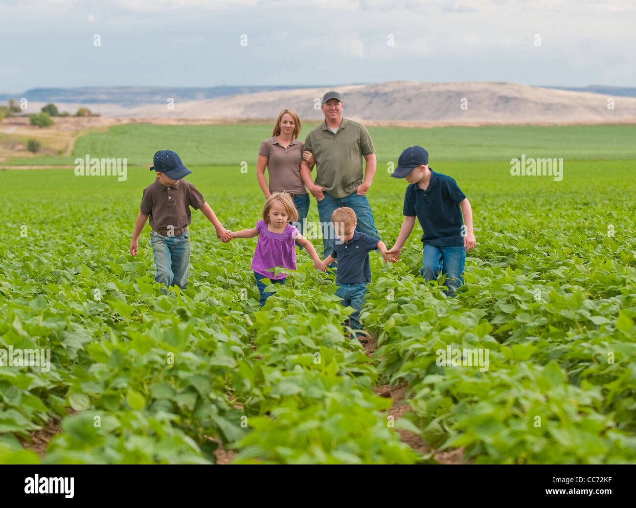A farmer walking in his field of soybeans with his family Stock Photo ...