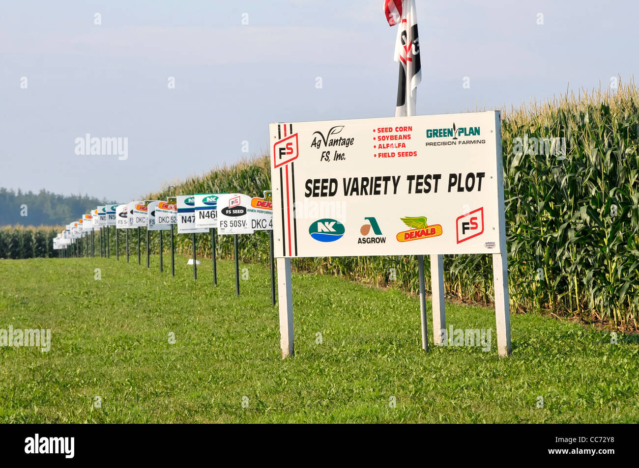 Iowa seed variety test farm field for seed corn soybean alfalfa and ...