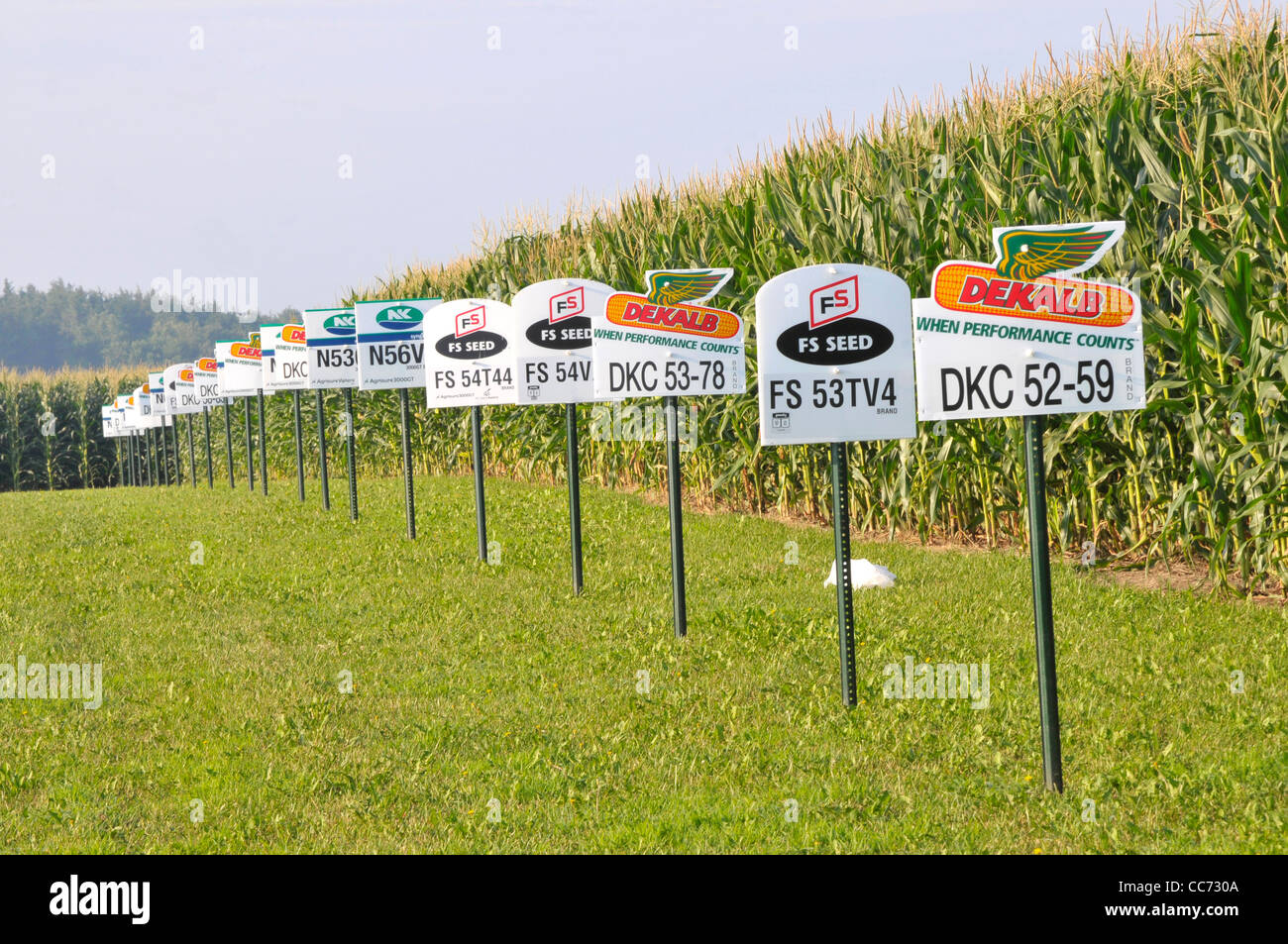 Iowa seed variety test farm field for seed corn soybean alfalfa and ...